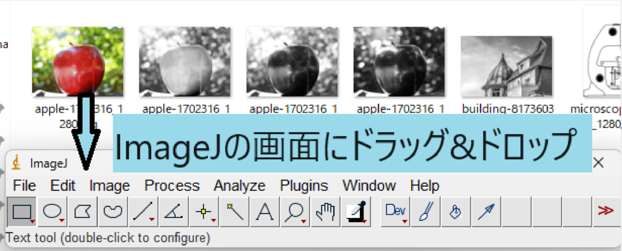 【ImageJ】画像の輝度を3次元的にマッピングする方法。 | 技プログ
